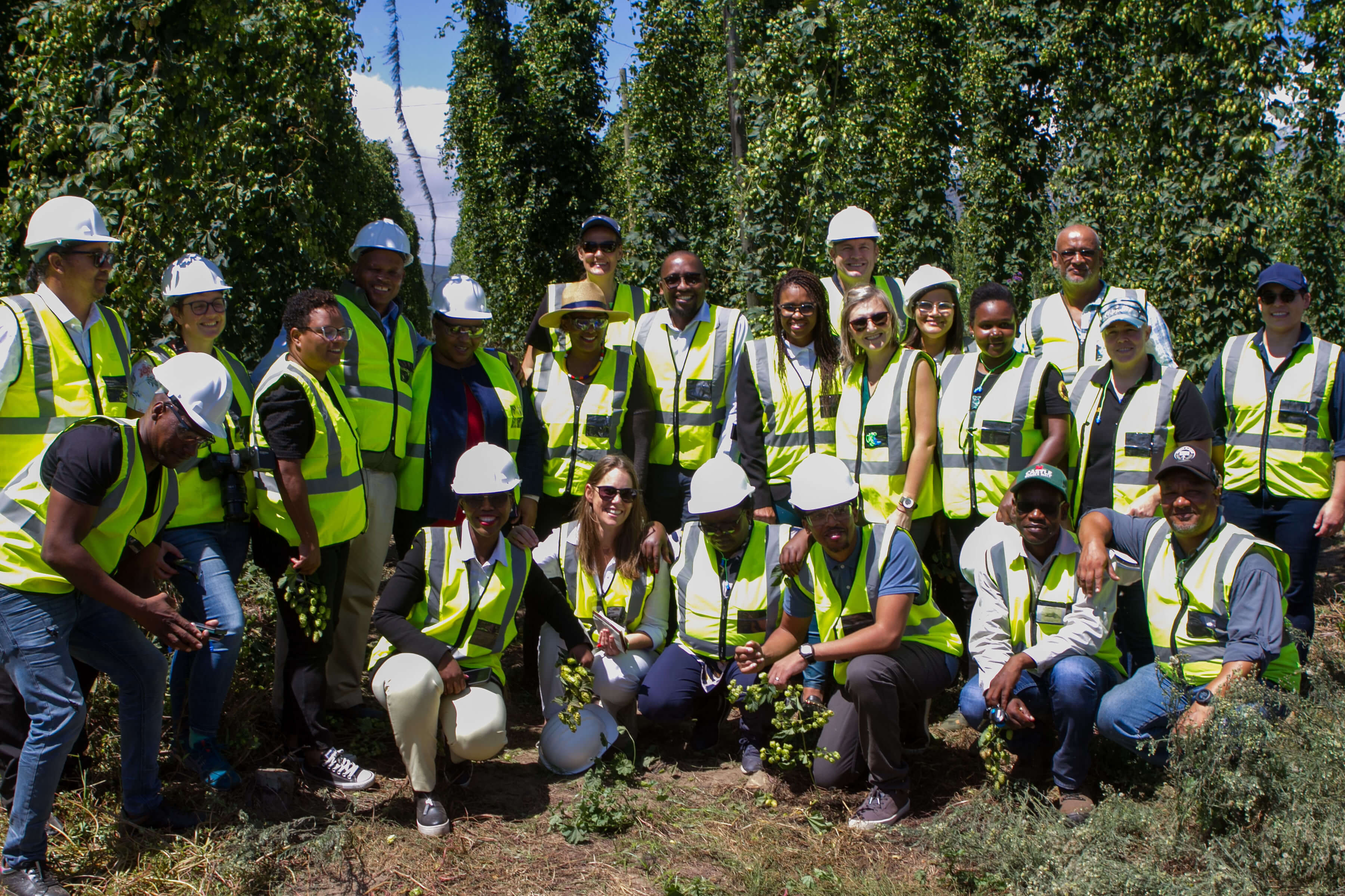 Our programmes - Sell Sharp | SAB